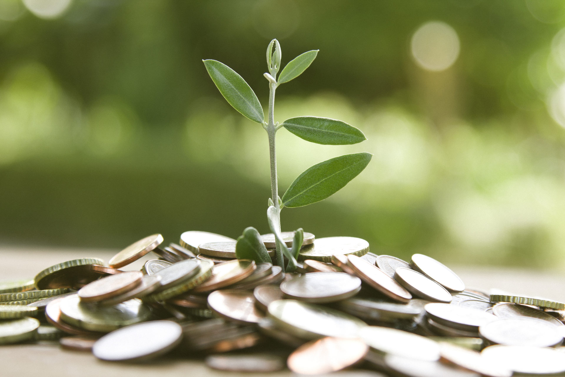 Smart Savings with Rewards | Metairie Bank